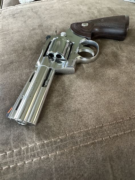 Newborn Python Colt Forum