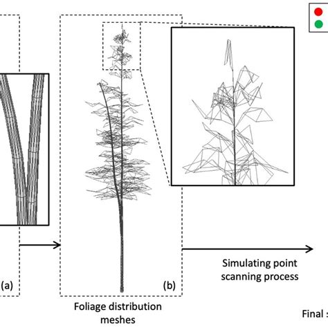examples of predicted segmentations of real tree point clouds using