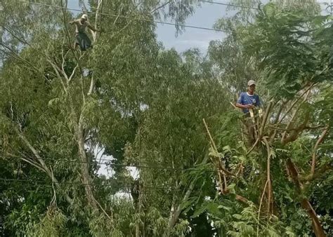 ရန်ကုန်ရှိ ဒဂုံမြို့သစ်မြို့နယ် ၃ ခု၌ မနက်ဖြန်တွင် လျှပ်စစ်ဓာတ်အားယာယီပြတ်တောက်မည်ဟု Yesc အသိပေး