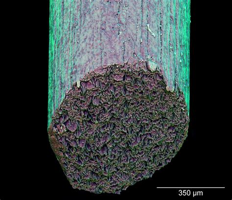 Graphite Under Microscope At Jennifer Wilkins Blog