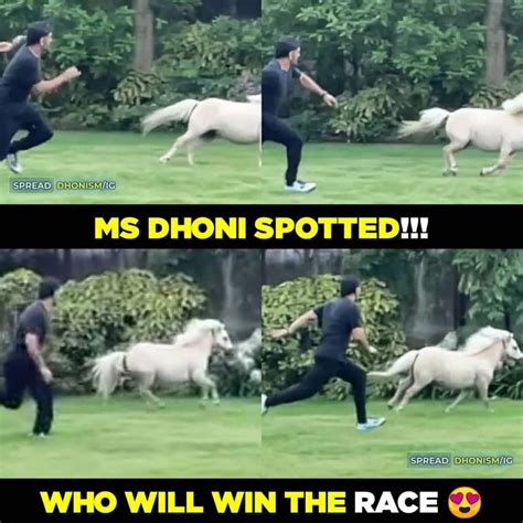 Mahi Vs Chetak Ms Dhoni Photos Dhoni Wallpapers Heartfelt Quotes