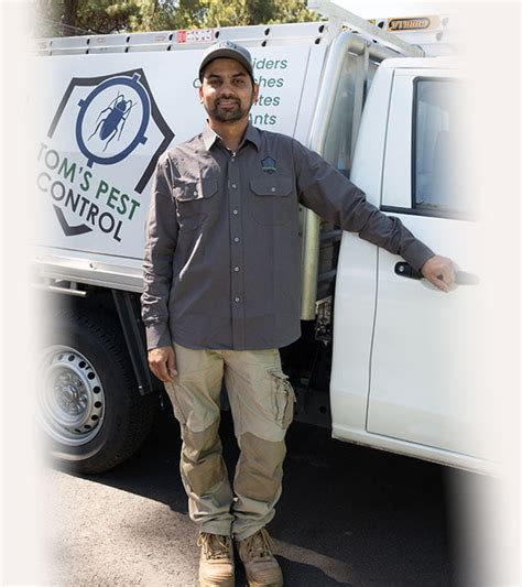 Pest Control Perth Best Pest Control Services In Perth Wa