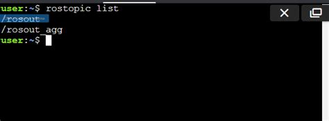 Ros Basics In 5 Days Python Real Robot Project Roscore Not Running