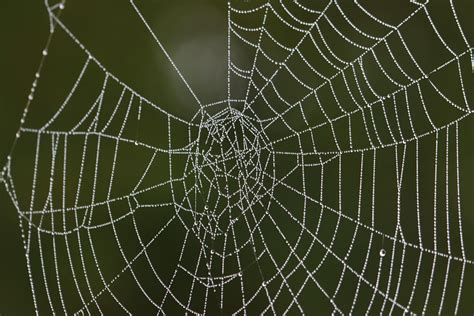 Revolutionizing Education The Future Of Elearning App Development