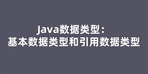Java数据类型基本数据类型和引用数据类型 java基本类型和引用类型 CSDN博客