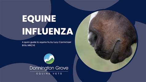 Equine Influenza