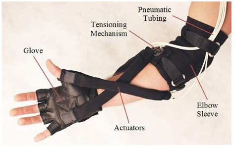 Soft Robotic Wrist Orthosis [20] Download Scientific Diagram