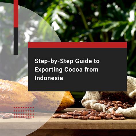 cocoa in indonesia how to export and succeed