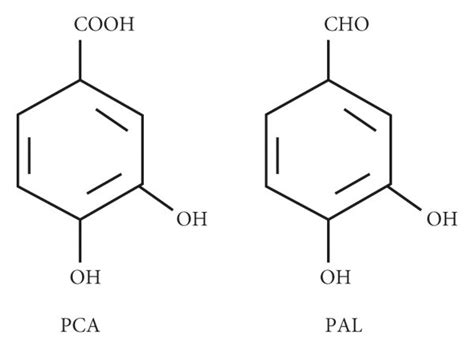 Chemical Structure Of Protocatechuic Acid Pca And Protocatechuic