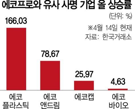 에코 3형제 아닌데덩달아 주가 껑충 뛴 에코oo 서울경제