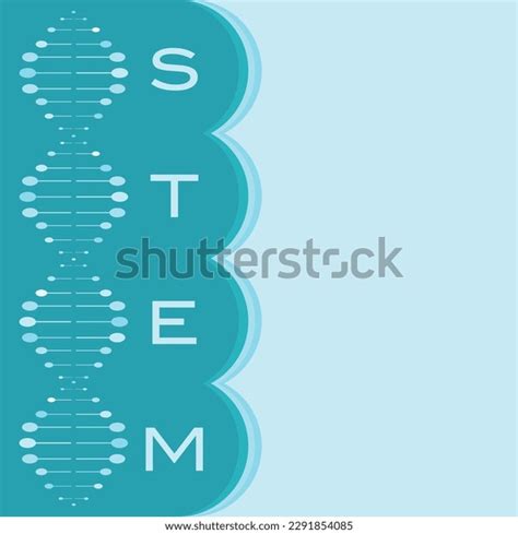 Stem Science Technology Engineering Mathematics Vector Stock Vector