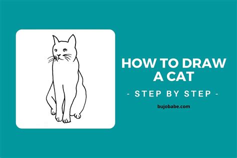 How To Draw A Cat Step By Step