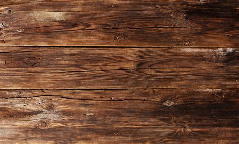 75 фонов дерева для Фотошопа или презентаций