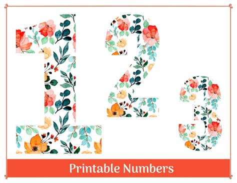 Orange Floral Clip Art Numbers Printable And Resizable Numbers Etsy Ireland