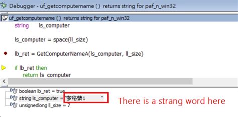 The External Api Function Returns Garbled Characters Powerbuilder Troubleshooting Guide