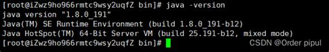 Linux配置jdk环境变量报： Bash Usrjava Cannot Execute Binary File Exec