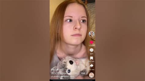 Ты нашёл оригинальный звук Я знаю это старый тренд😅 Youtube