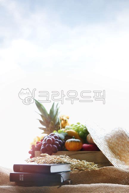추수감사절 과일 곡식 야채 성경책 사진이미지일러스트캘리그라피 Artin작가