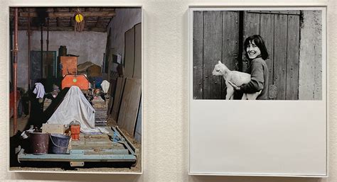 Iris Millot Le Soleil Passe à Lembranchement Voir And Dire