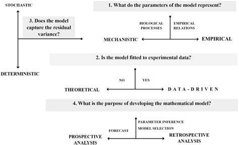 Integrating Mathematical Models With Experimental Data To Investigate The Within Host Dynamics