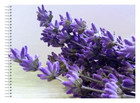 It S Time For Tea Grow Your Own Lavender Tea Greenside Up