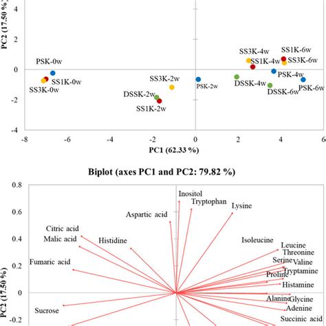 Principal Component Analysis Pca Score Plot Derived From Metabolite
