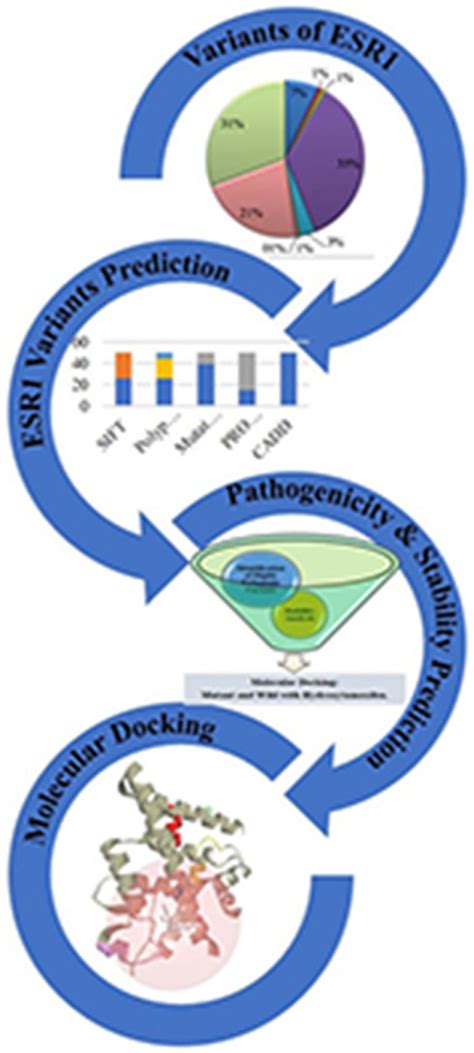 Exploring Pathogenic Snps And Estrogen Receptor Alpha Interactions In Breast Cancer An In