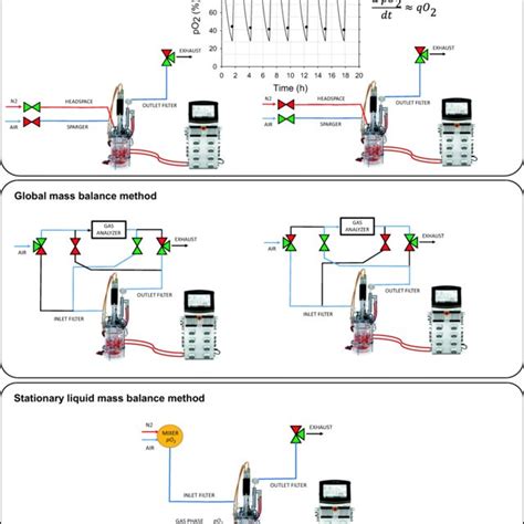 Diagram Of Process Control For Fed Batch And Perfusion Cultures Based Download Scientific