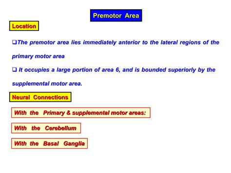 Pyramidal Extrapyramidal Pathways Ppt