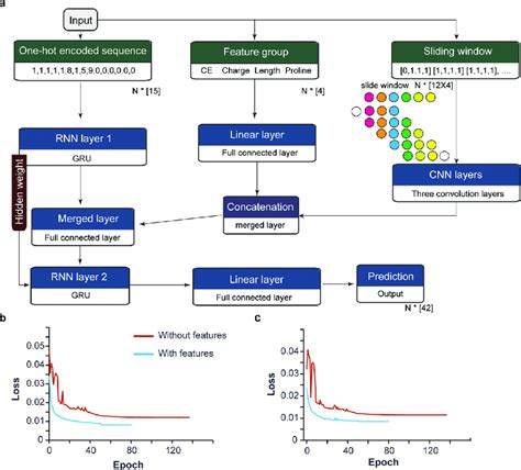 Model Structure A Schematic Representation Of The Deep Learning