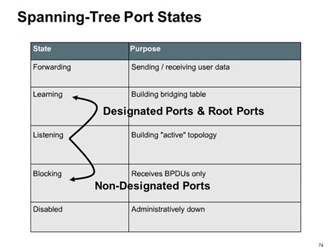 Networking And Scripting Spanning Tree Protocol PPT