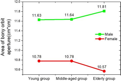 Changes Of Bony Orbital Area With Age And Sex Differences Download Scientific Diagram