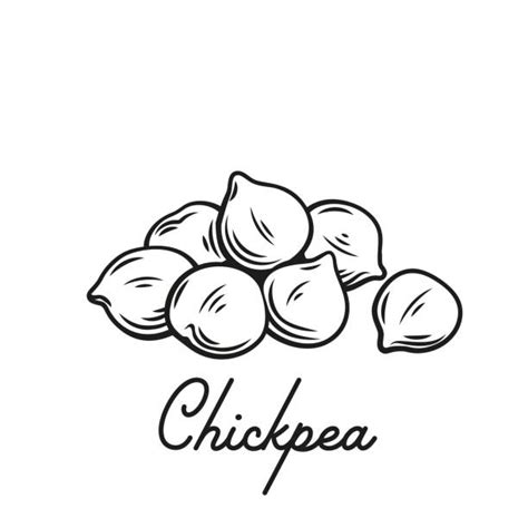 2200 Chickpea Stock Illustrations Royalty Free Vector Graphics