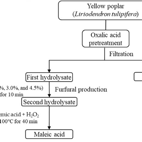 Maleic Acid Production From Yellow Poplar Download Scientific Diagram