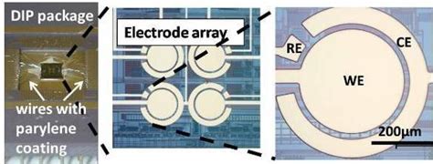 Photograph Of A Cmos Biosensor Array Chip In Package And Close Up Views Download Scientific