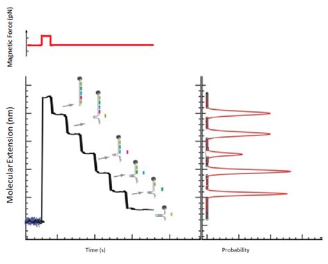 Single Molecule Magnetic Sequencing Encyclopedia Mdpi