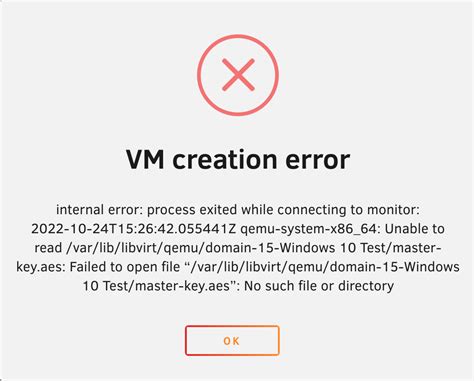 Vm Setup Error Runraid