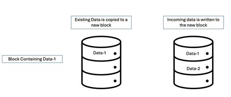 Copy On Write Filesystem In Linux In A Nutshell The Linux Cluster