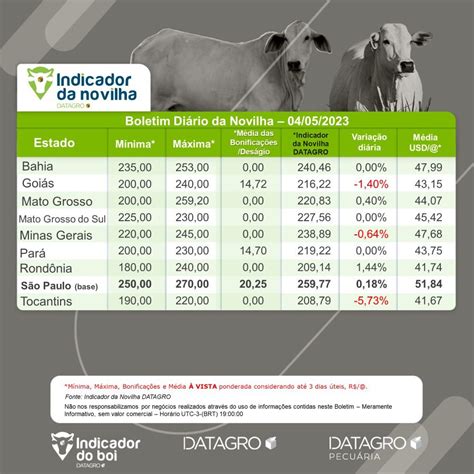 Valor Médio Da Arroba Do Boi Novilha E Vaca Agron Agronégocios Online