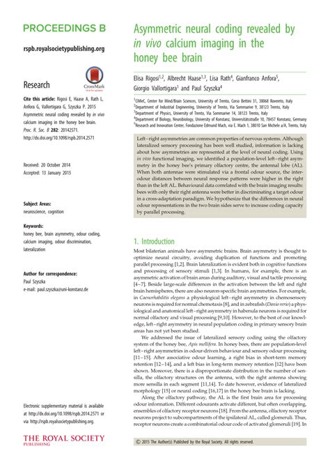 Pdf Asymmetric Neural Coding Revealed By In Vivo Calcium Imaging In The Honey Bee Brain
