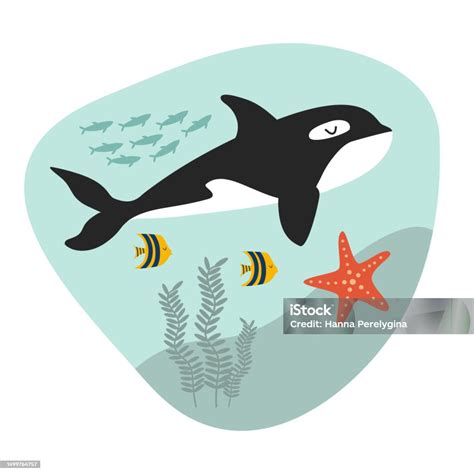 바다 바닥 범고래 물고기 해초가 있는 귀여운 벡터 그림 인쇄 엽서 개체 그룹에 대한 스톡 벡터 아트 및 기타 이미지 개체