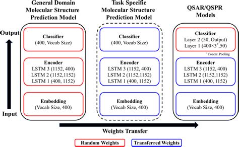 Scheme Illustrating The Molpmofit Architecture During The Fine Tuning