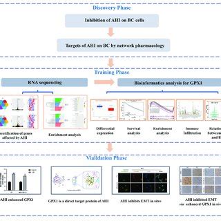 Workflow Chart Of The Research Download Scientific Diagram
