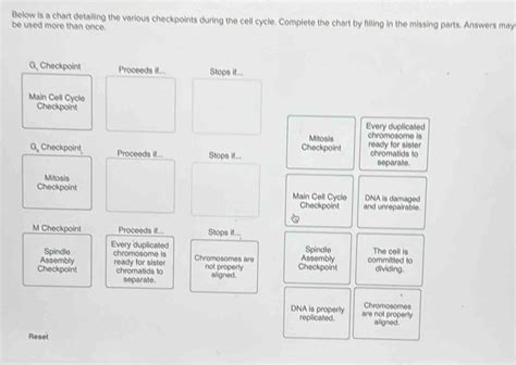 Solved Below Is A Chart Detailing The Various Checkpoints During The