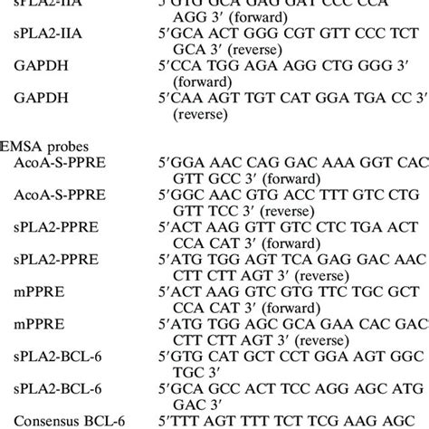 Primer Sequences For The Different Tested Genes Download Table