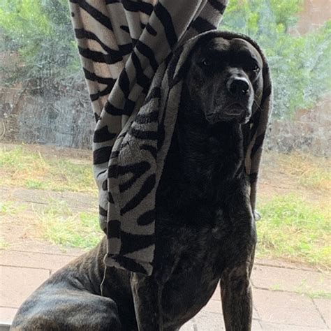 Stream Timber Lee Music Listen To Songs Albums Playlists For Free