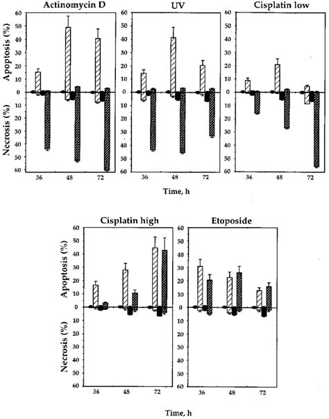 Induction Of Apoptosis And Necrosis In Young And Old Human Fibroblasts Download Scientific