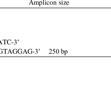 Primer Sequence Used To Detect Mitochondrial ATP6 Synthase F0 Subunit Gene Download Scientific