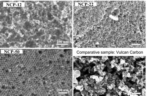 Nanoporous Carbon Powder Ncp Catalyst Support Hyfindr