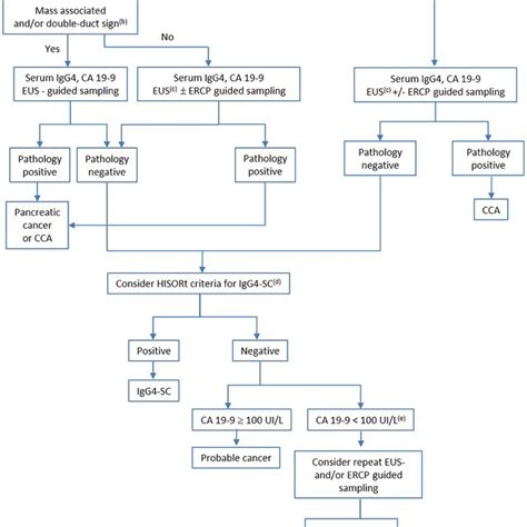 Algorithm For The Evaluation Of Patients With A Cholestatic Clinical